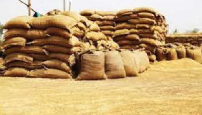 India witnesses a substantial surge in agricultural exports to Iraq ...