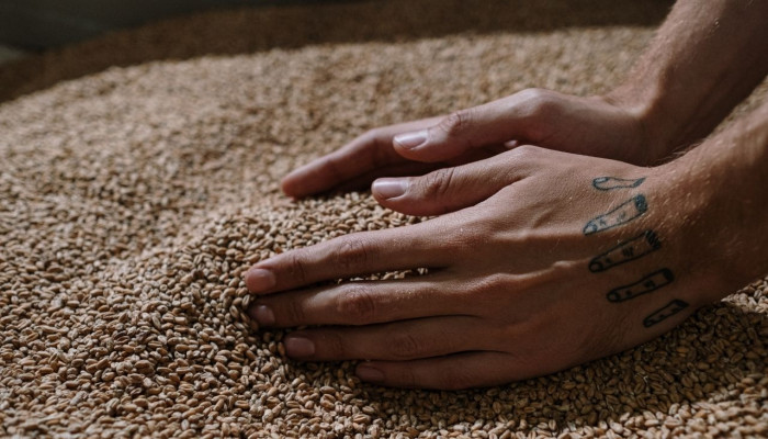 Middle East to suffer from grain shortage due to Ukraine crisis