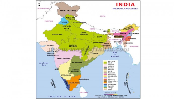 Importance of the Indian Linguistic Area and its implications on the ...