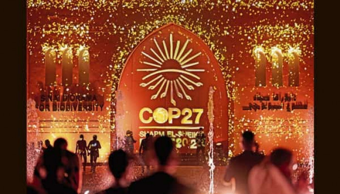 India delivers National Statement at COP 27