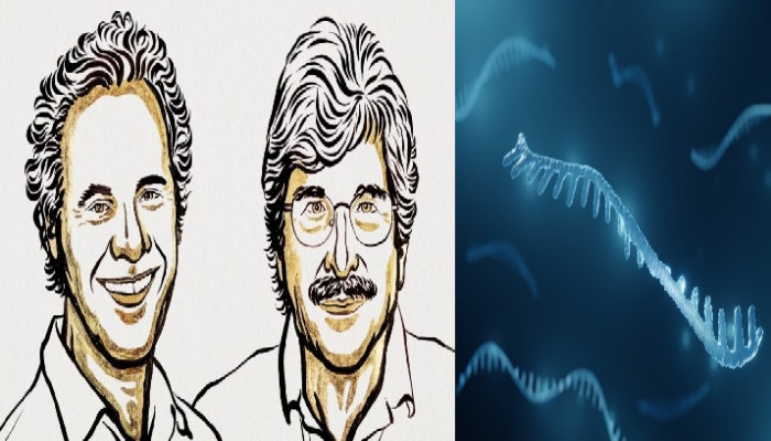 American scientists win Nobel prize in medicine for discovering microRNA