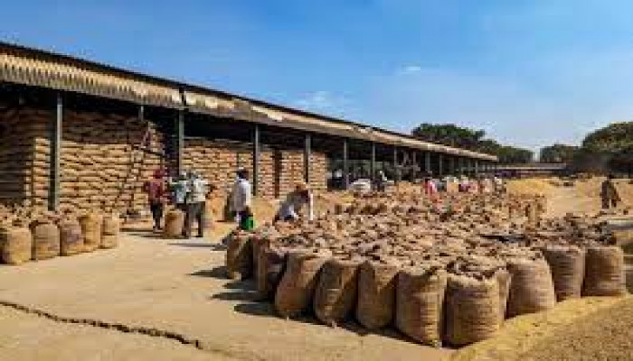 India signs deals to export 500,000 tons of new season basmati rice