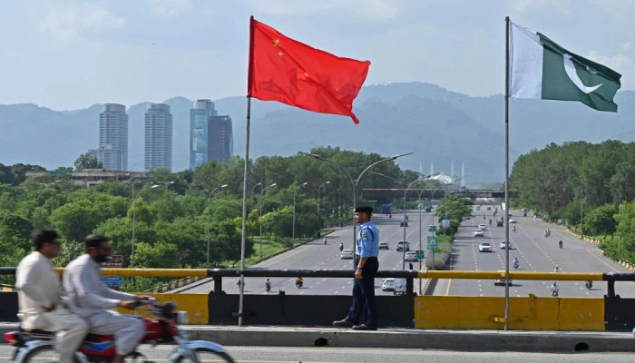 Balochistan Liberation Front Flag