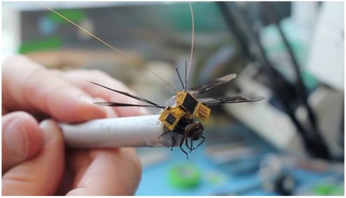 The DragonflEye Project Wants to Turn Live Insects into Cyborg Drones
