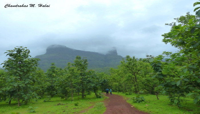 Naneghat A Slice of Indian History